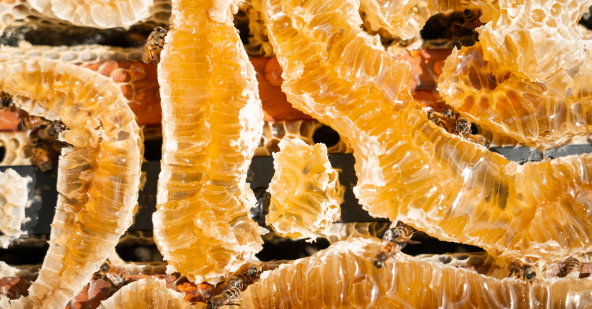 Our People – Sweet Justice Honey Pty Ltd